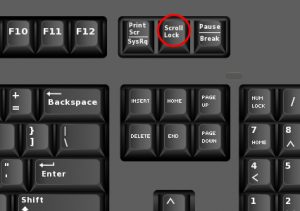 Scroll Lock Là Gì? (Cách Dùng Scroll Lock) - Laptop Minh Khoa
